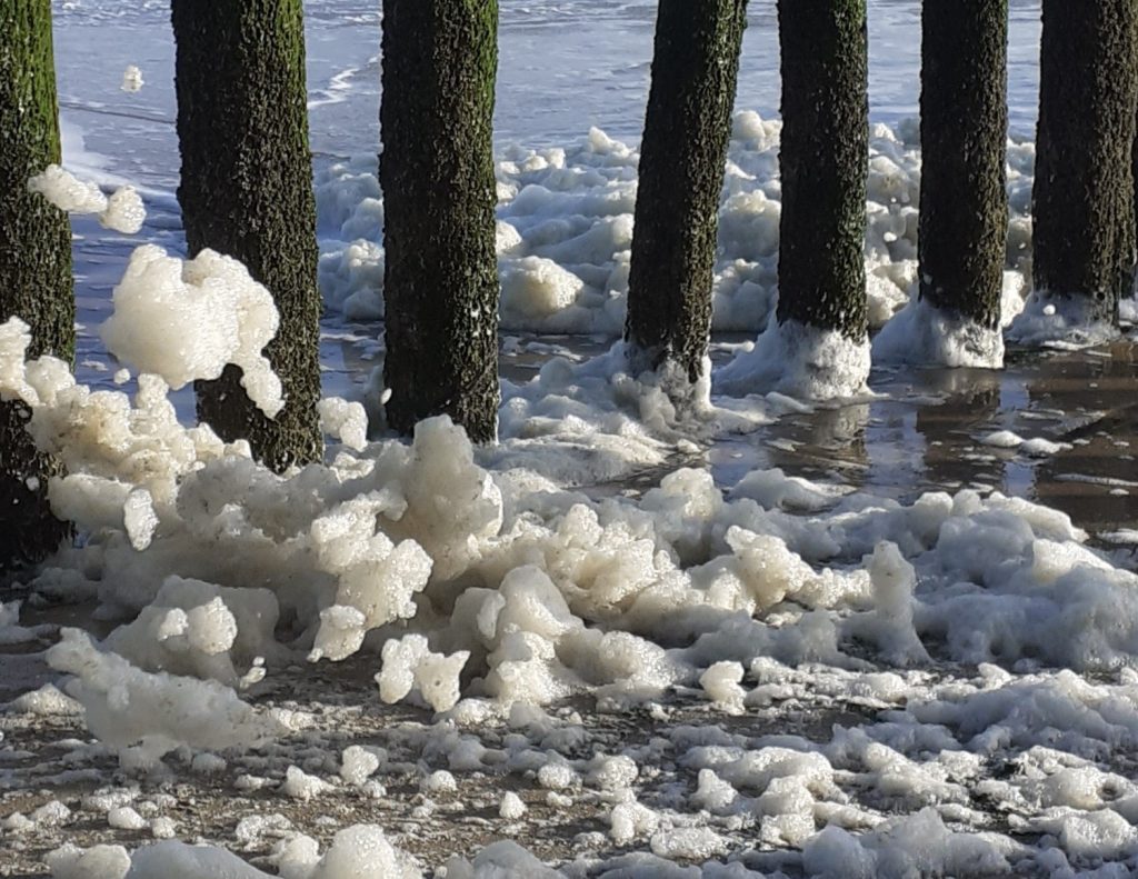 TEER – Marian Houtman